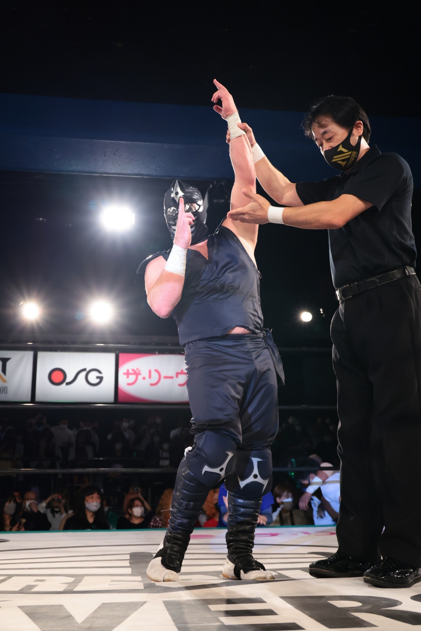 NOAH: «N-Innovation» El dominio de los NOAH Juniors | Superluchas